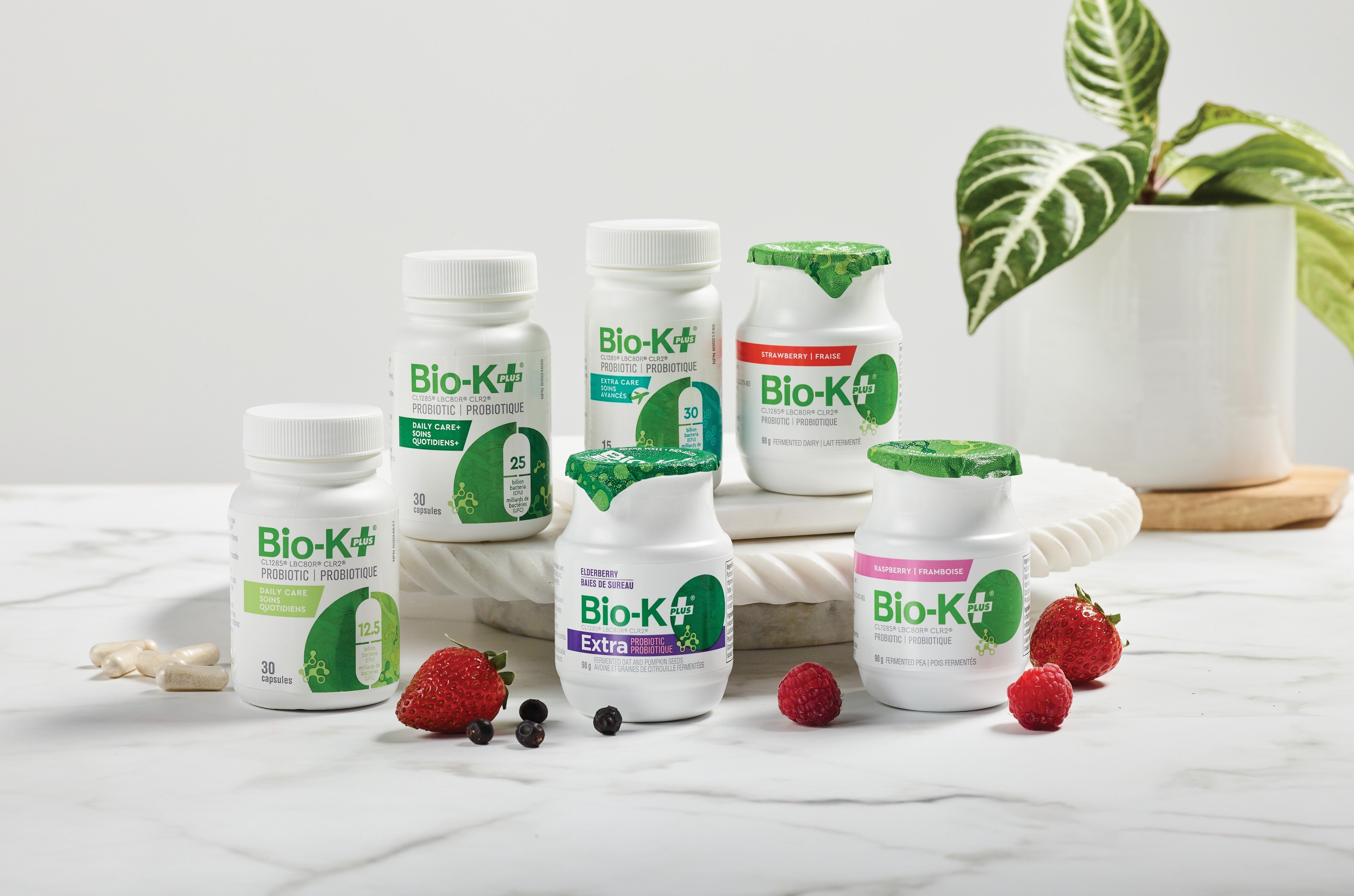 Probiotic Products: High-Quality Probiotic Solutions – Bio-K+